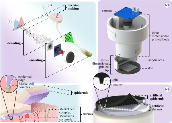 3D 프린터로 만든 ‘촉각을 갖춘 로봇 손’
