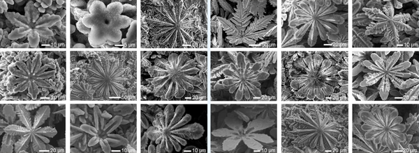 액체금속에서 석출한 아연 결정이 눈처럼 6각형인 이유